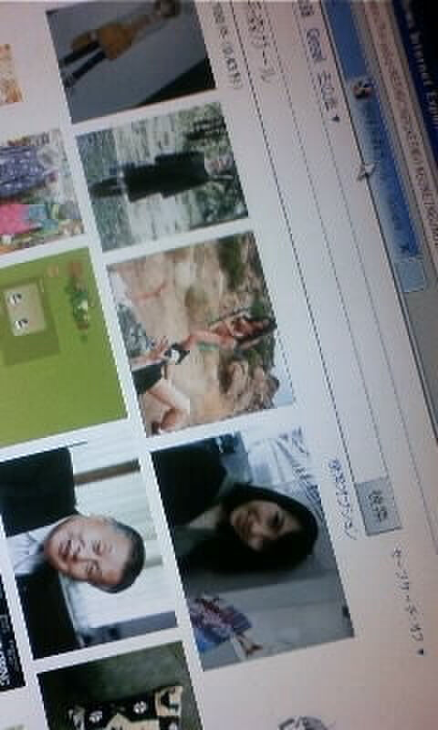 ねこぜ森ガールツイートセレクション2010 - posfie