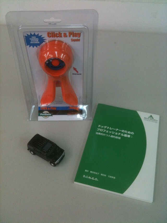 D.I.N.G.O. Doggy Talk #1（USTREAM Experimental Broadcasting) - posfie